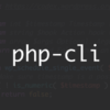 How to install PHP to use in the Command Line Interface (CLI) | WP Code Camp